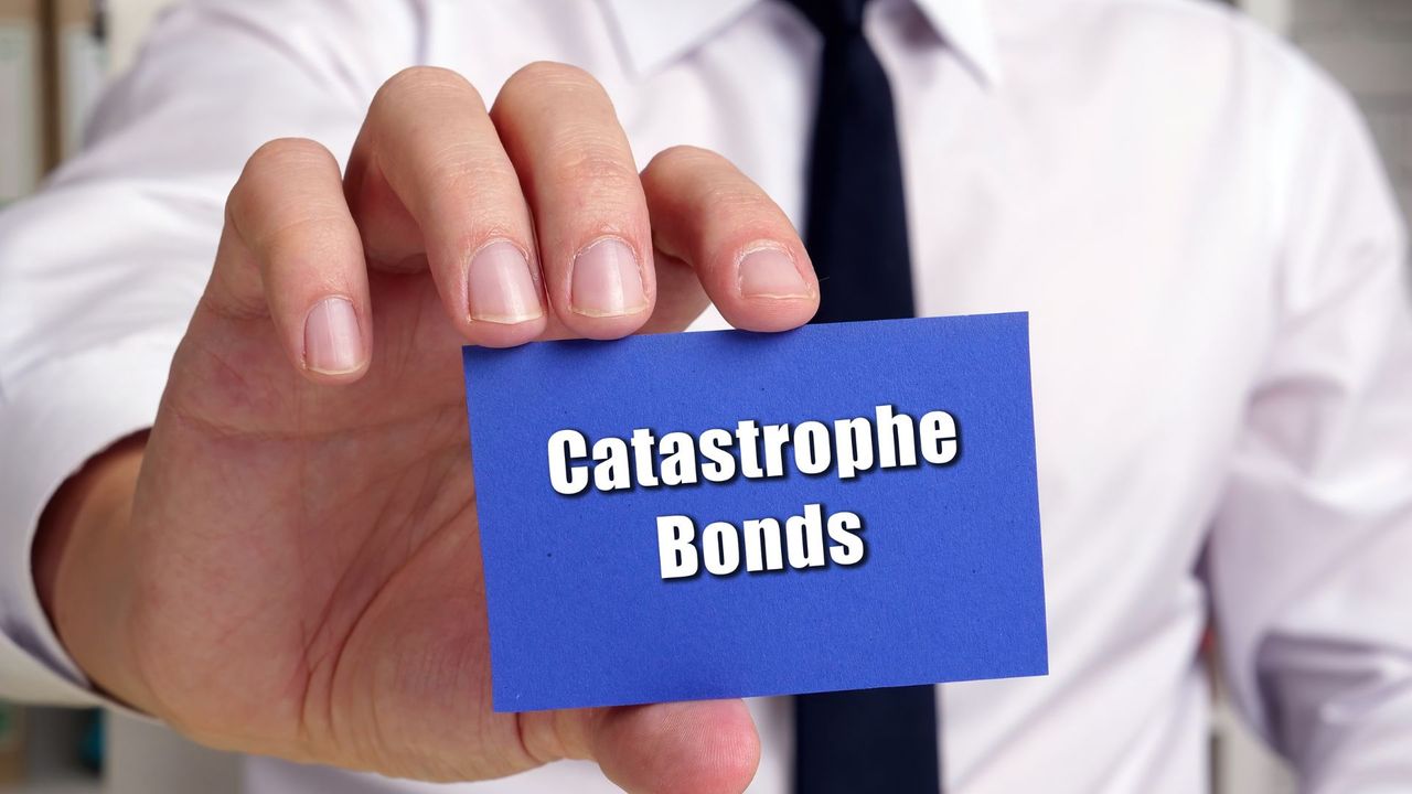 Cat bond funds advanced throughout December, up 13.6% in FY2024 ...