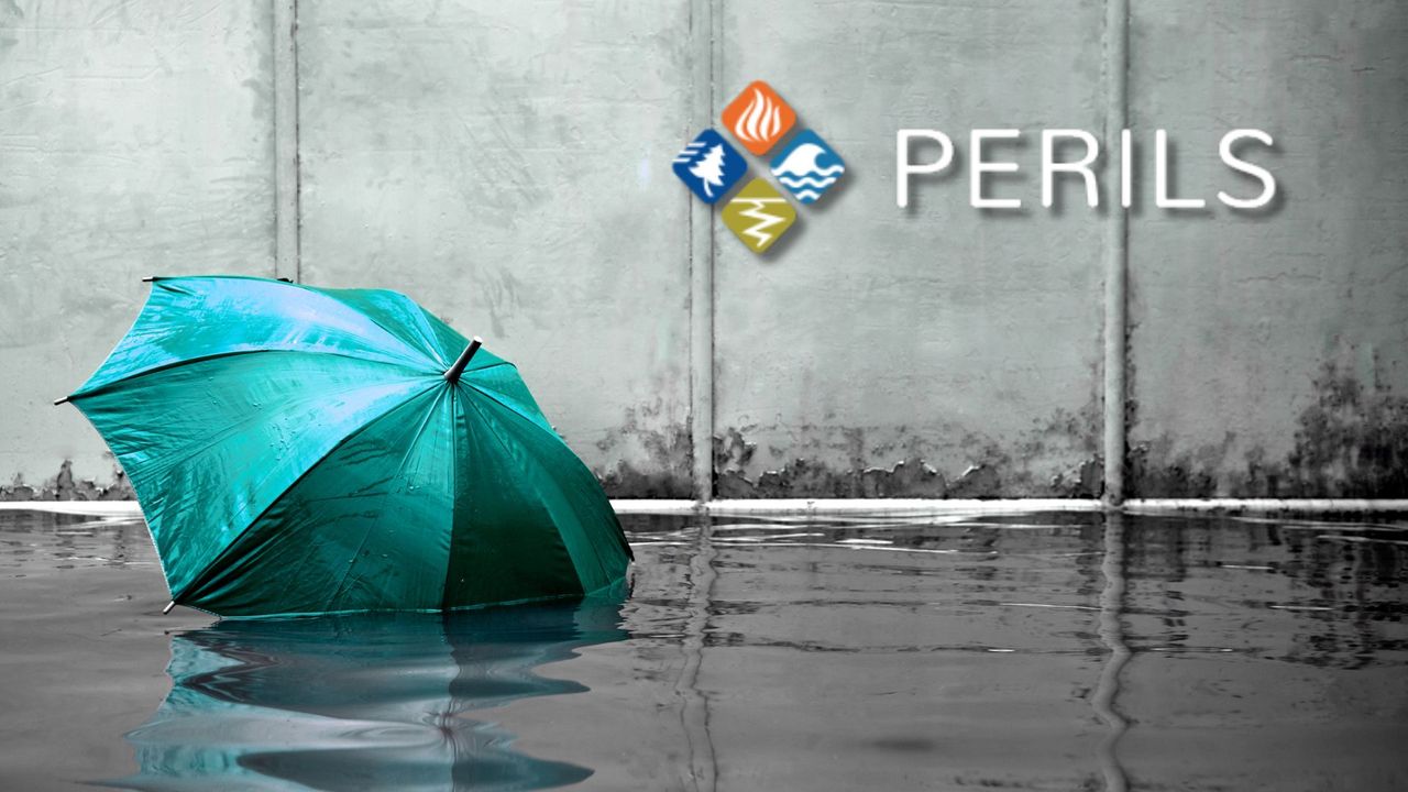 Perils releases industry loss estimate for German floods | Intelligent ...