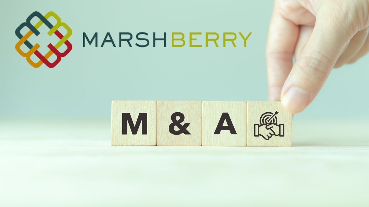 Insurance sector M&A set to be very active in 2025, says MarshBerry ...