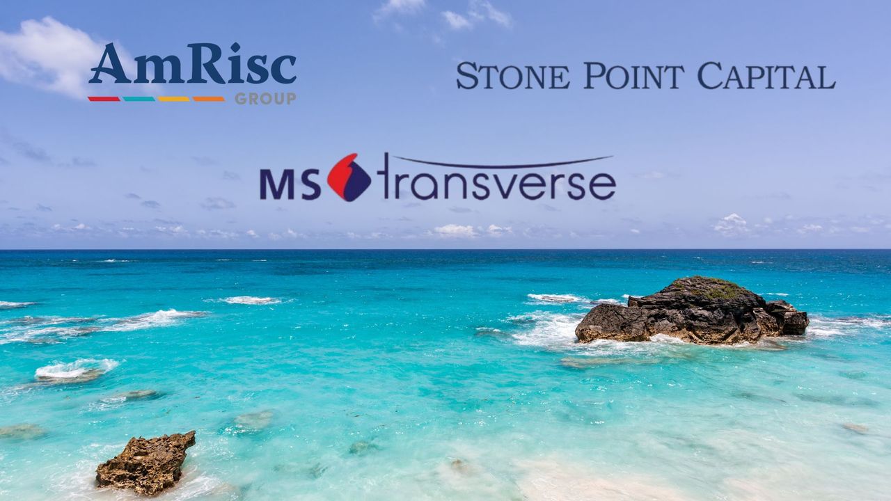 AmRisc nearly doubles Trouvaille Re sidecar capacity | Intelligent Insurer