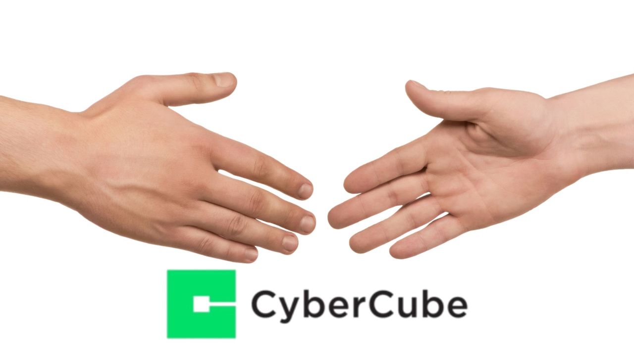 CyberCube partners with US brokerage to mitigate cyber risks ...