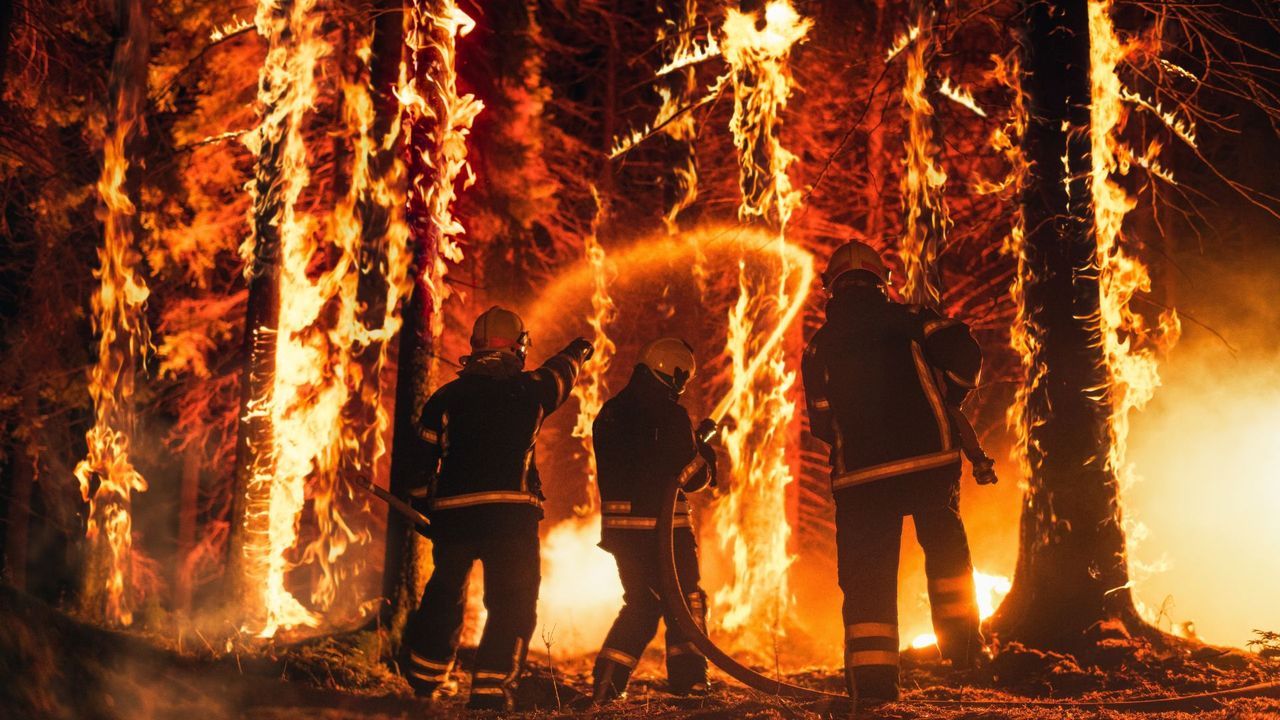 Alleged arson! US arrests man blamed for LA’s Palisades wildfire ...