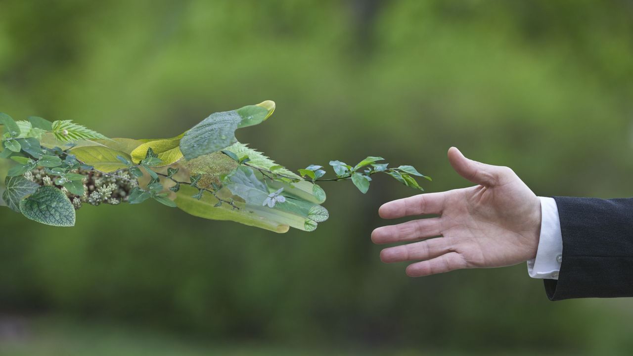 Markel Insurance shows off green thumb with latest collaboration ...