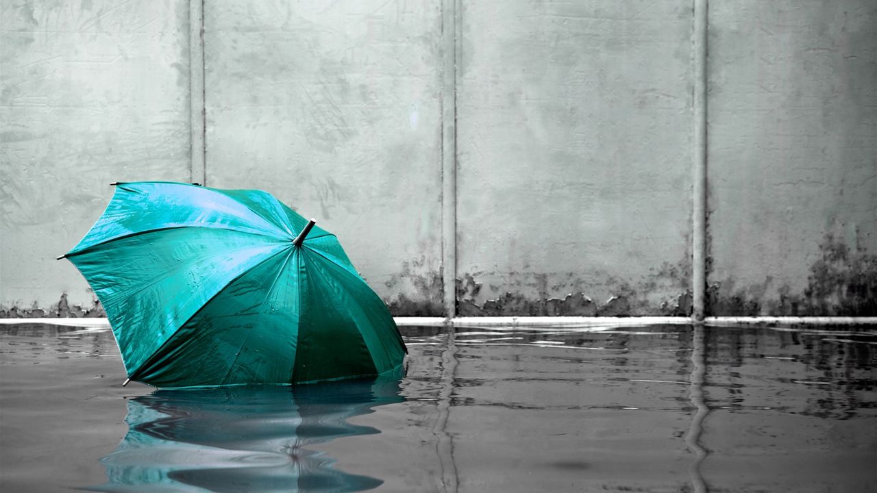 Flood forecaster Previsico launches major upgrade | Intelligent Insurer